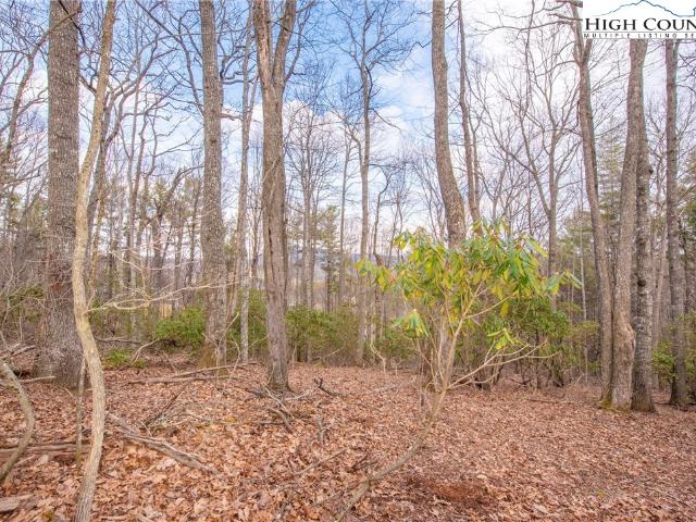 TBD High Meadows Lane