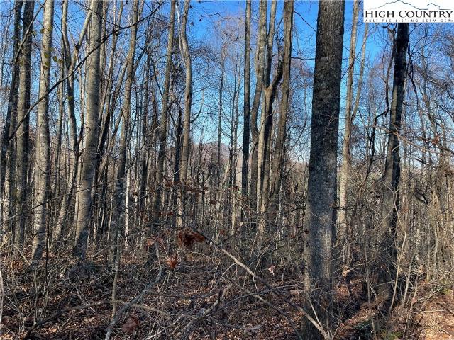 TBD Highland Trail Lot 7