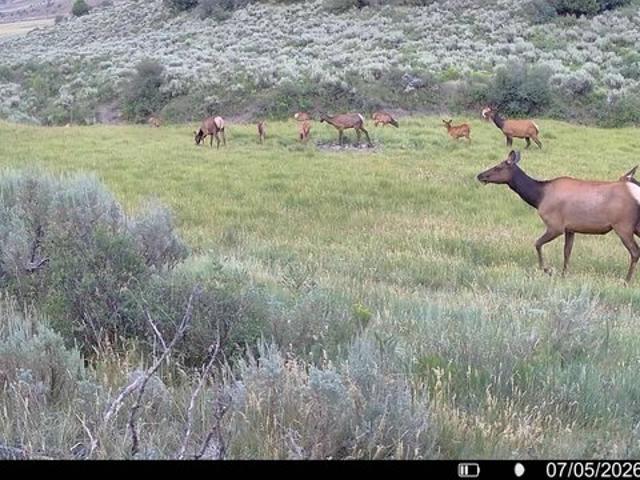 Tbd Highway 13, Meeker, CO 81641