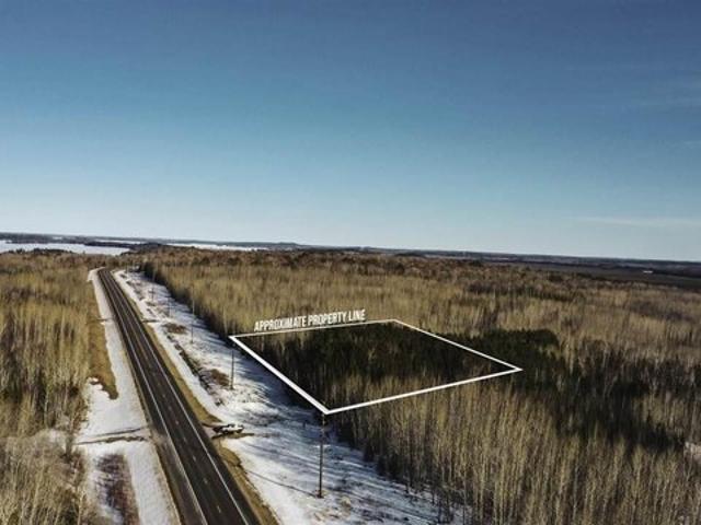 Tbd Highway 115 Parcel 17, Tower, MN 55790