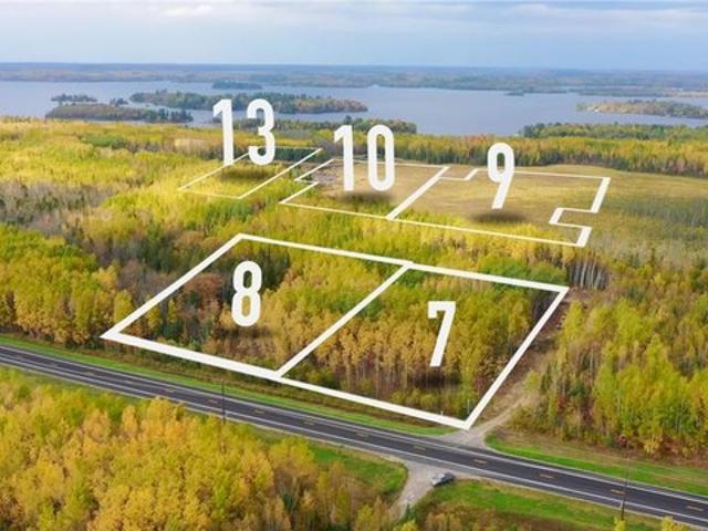 Tbd Highway 115 Parcel 9, Tower, MN 55790