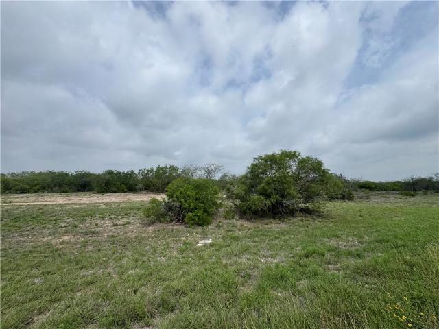 TBD Highway 359