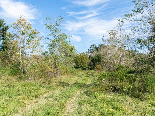 TBD Highway 36 75 Acres