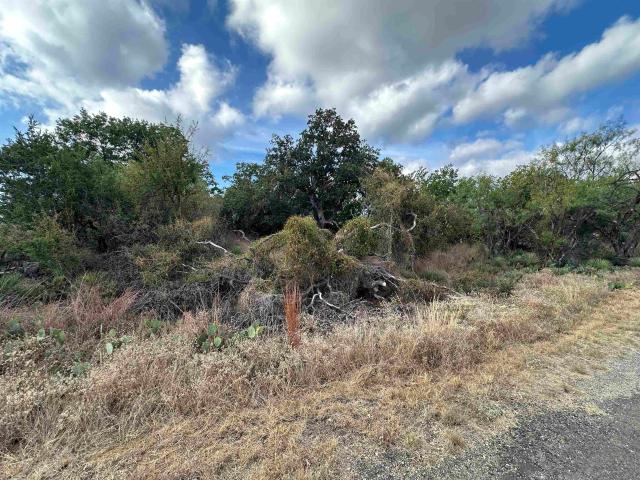 Tbd Hill Dr, Granite Shoals, TX 78654 | MLS #175429