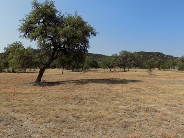 TBD Hills Of Bandera