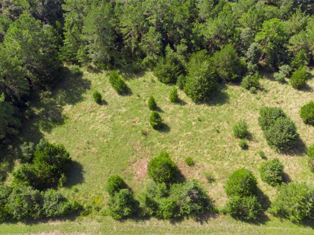 TBD Hilltop Lane