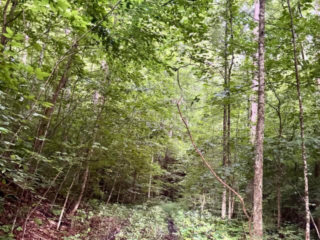 Tbd Hubbard Springs Road