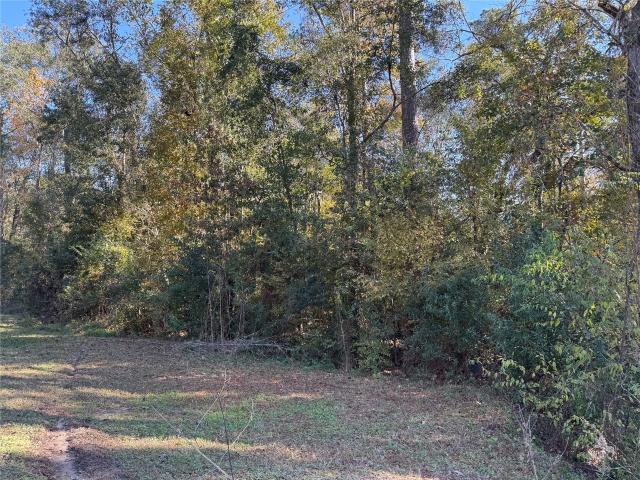 TBD Hunters Trail