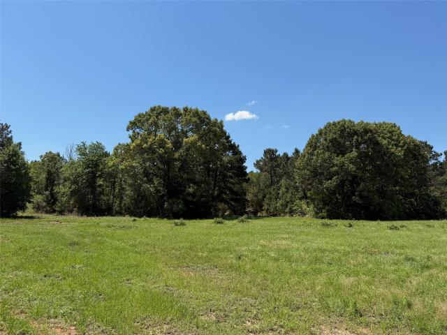 TBD Hwy 75 South