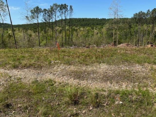 TBD Hwy 84