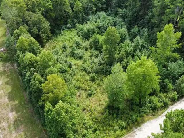 Tbd Hwy 905, Longs, SC 29568 MLS 2424898
