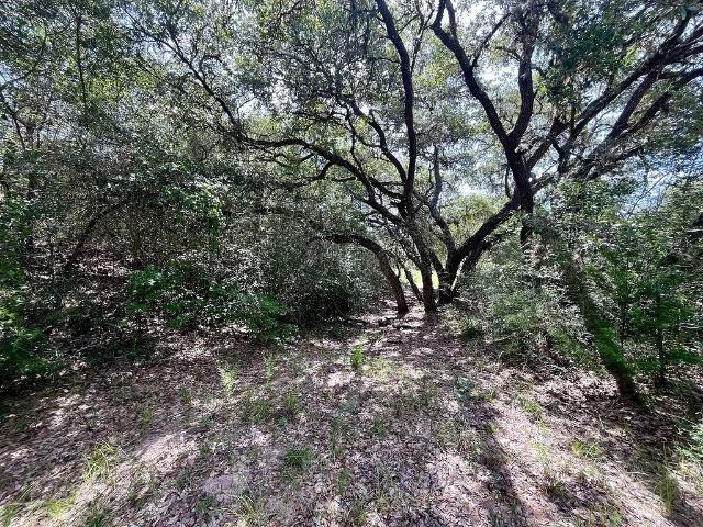 TBD Hwy 90A
