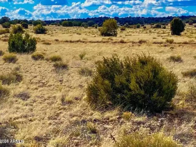 Tbd Hyde Park Rd 10 Acres #, Seligman, AZ 86337 MLS 6833.