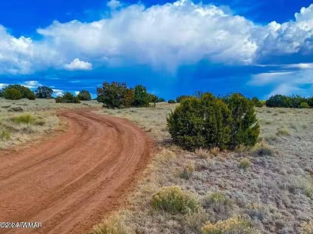 Tbd Hyde Park Rd 9 92 Acres, Seligman, AZ 86337 MLS 253227