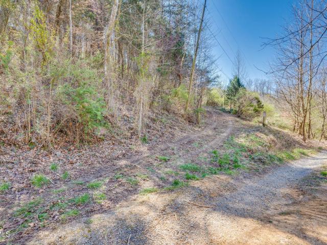 Tbd Ivy Valley Road