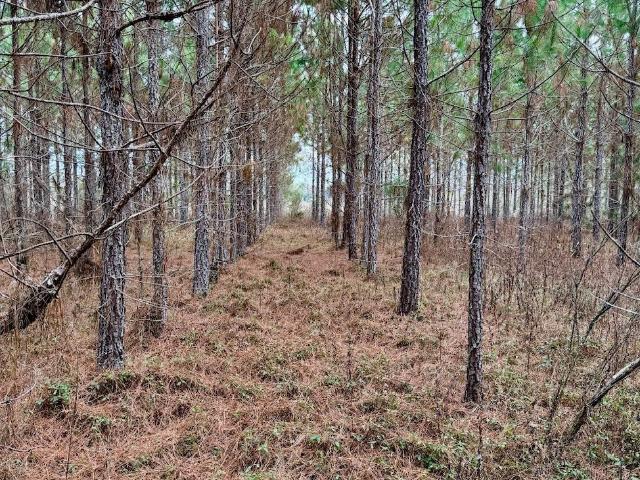 TBD John M Brewton Rd