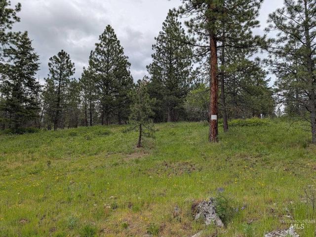 TBD Jackpine Rd