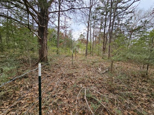 TBD Jackrabbit Lane