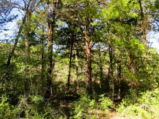 Tbd Jackrabbit Ln, Bryan, TX 77808 | MLS #25008