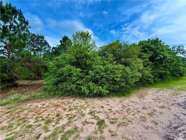 TBD Jamaica Drive