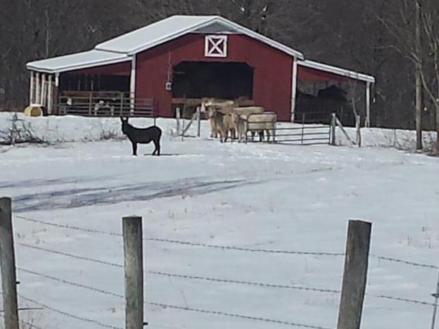 Tbd Jeb Stuart Hwy & Massey Rd