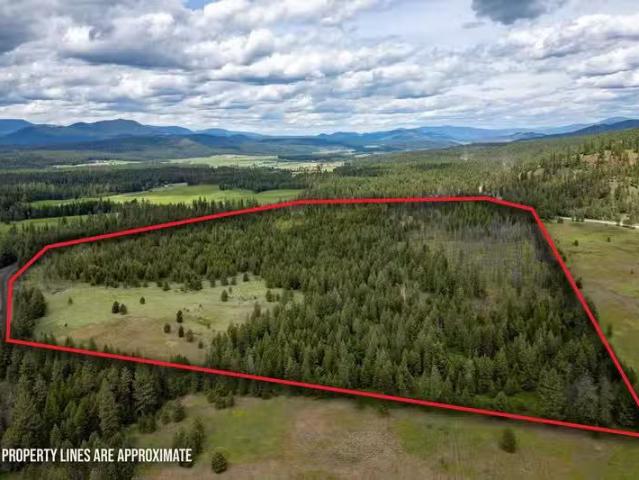 TBD JEPSEN RD, SPRINGDALE, WA 99173 644667718