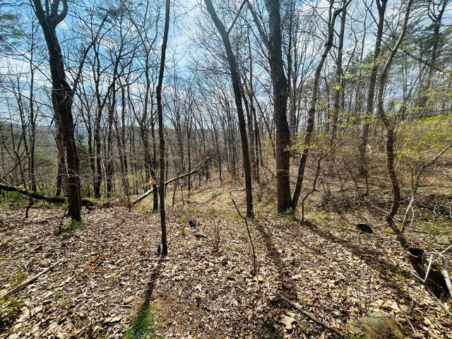 TBD Julia Simpkins Rd