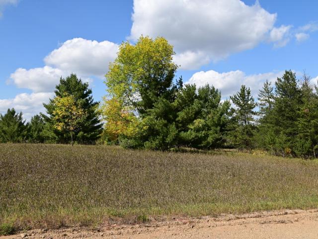 TBD Oak Drive