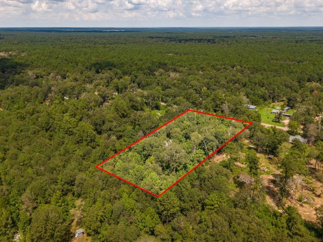 TBD Oak Fork Drive