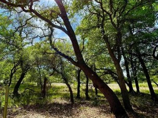 Tbd Oak Point Dr Lots 785 & 786, May, TX 76857