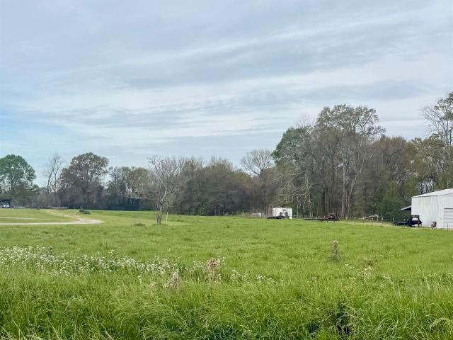 Tbd Oakland Rd, Lakeland, LA 70752 | MLS #BR2026004