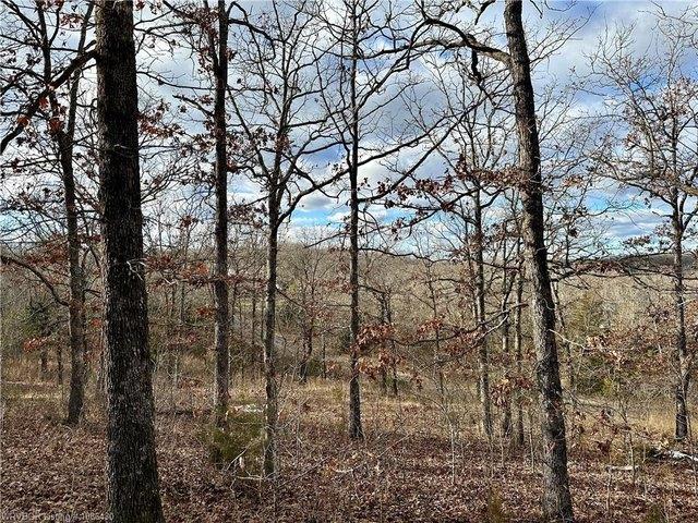 Tbd of W Boudinot Cor Lot 239 and S Saddle Rock Dr, Park Hill, OK 74451