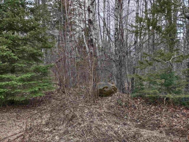 TBD Off Ohman Road # Lat 46.8737 Lon 88.1528