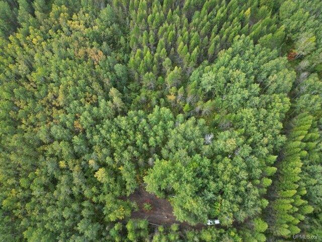 Tbd Off County Road Rd, Cornell, Plot For Sale