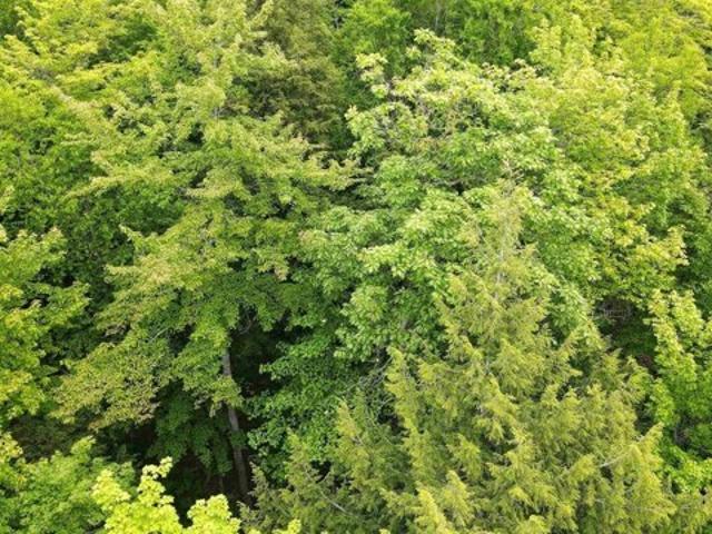 Tbd Off Donken Tapiola Rd, Toivola, Plot For Sale