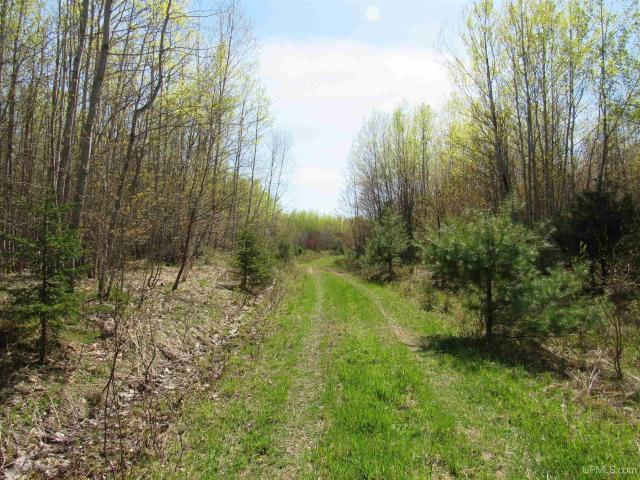TBD Off Rice Lake Road # No Drive Bys
