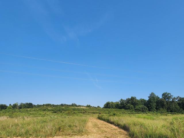 TBD Off S 63 Highway