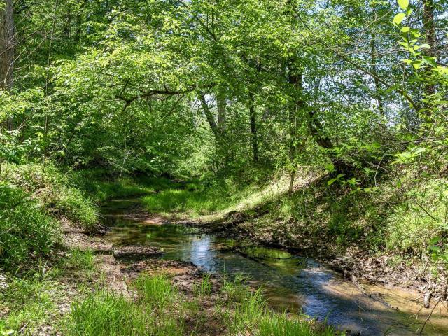 Tbd old mountain rd e