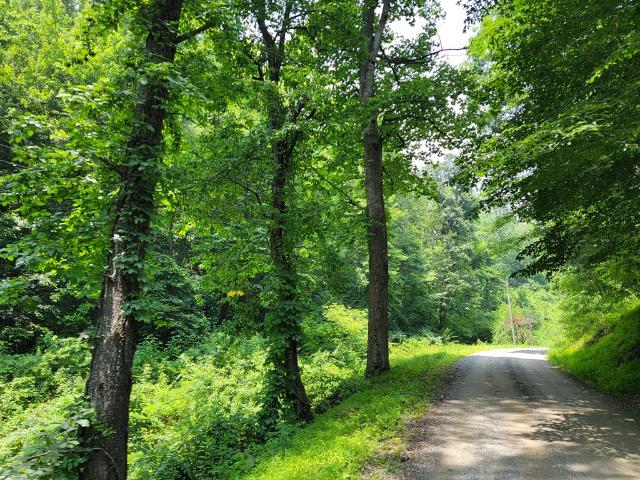 TBD Old Colonial Rd