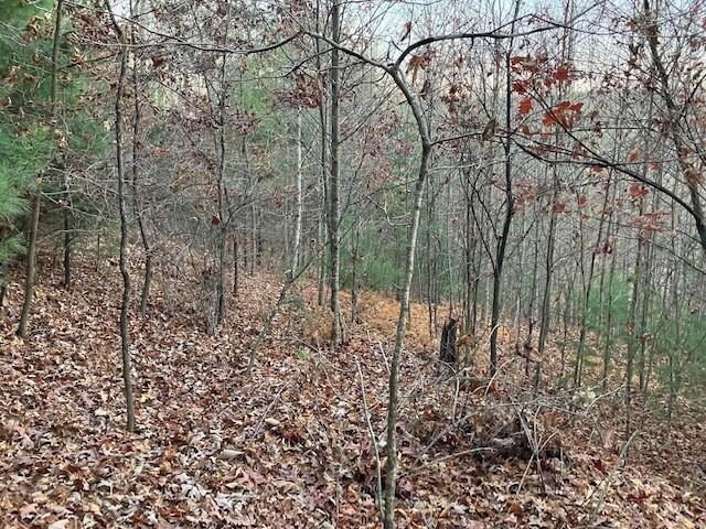 TBD Old Deer Trace Road