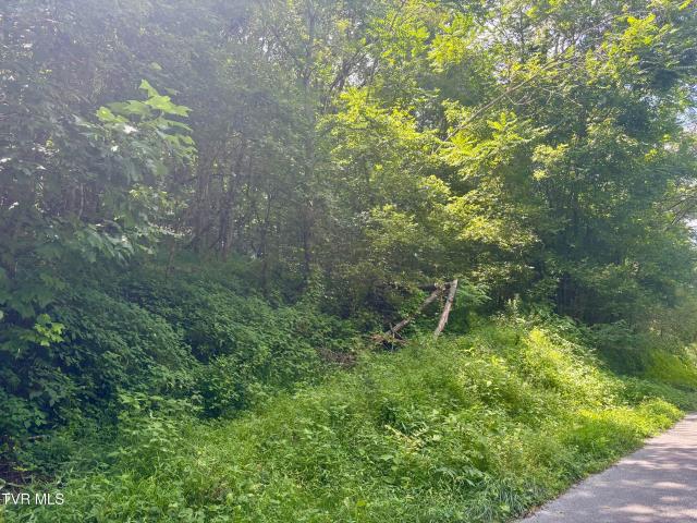 Tbd Old Friendship Rd