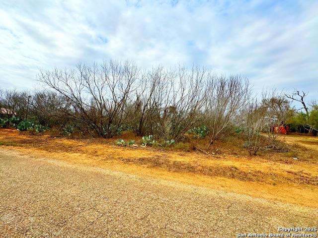 TBD Old Hwy 81 Lot 3