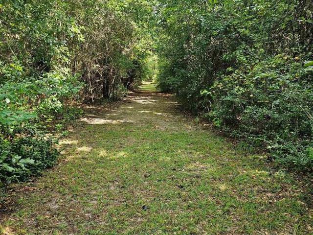 Tbd Old River Rd, Starks, LA 70661 | MLS #SWL26000