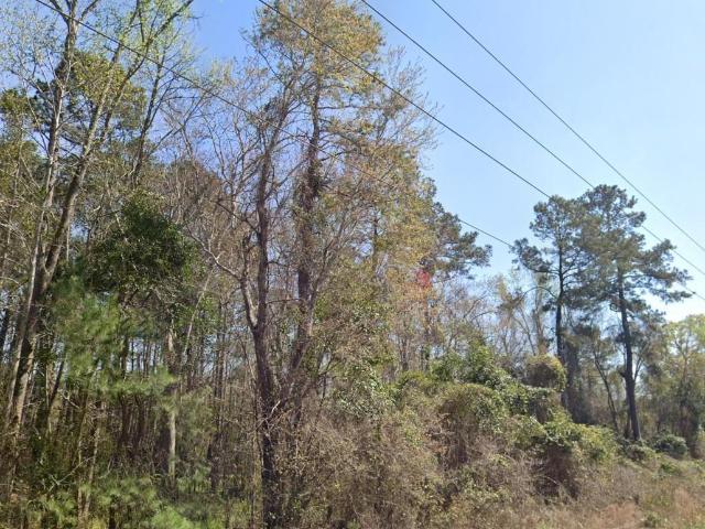 TBD Old Wilson Rd