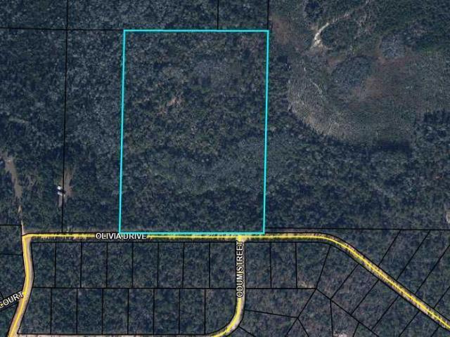 Tbd Olivia Dr, Alford, FL 32420 | MLS #787550