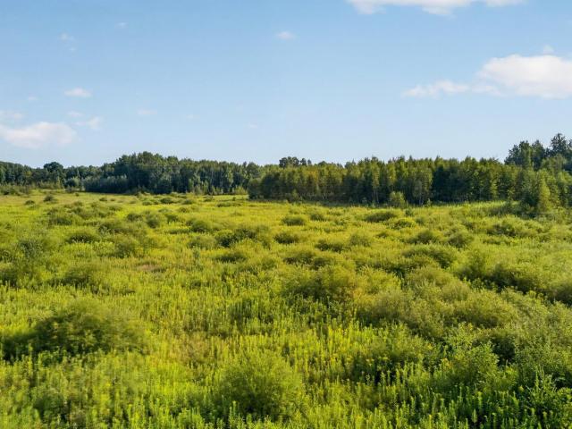 TBD Olson Road