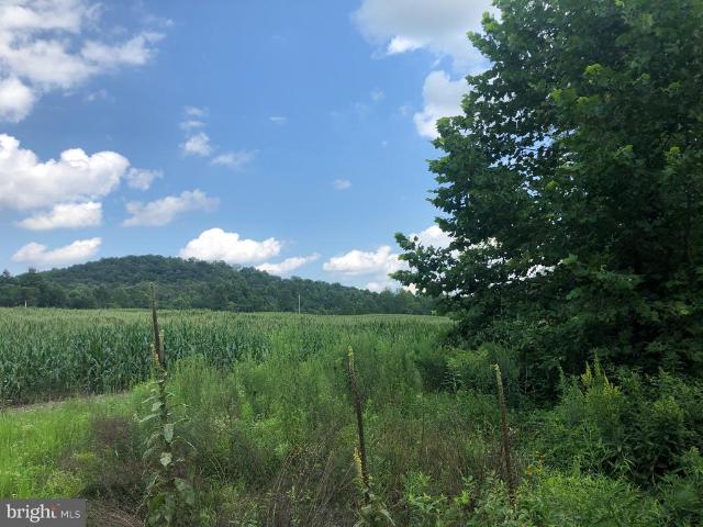 TBD Orange Rd