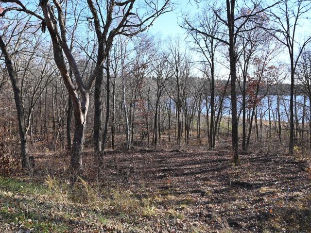 TBD Ottawa Drive