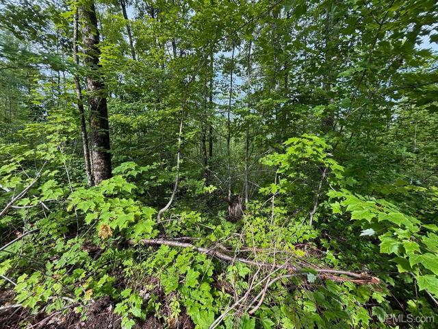 TBD Otter Lake Tapiola Road
