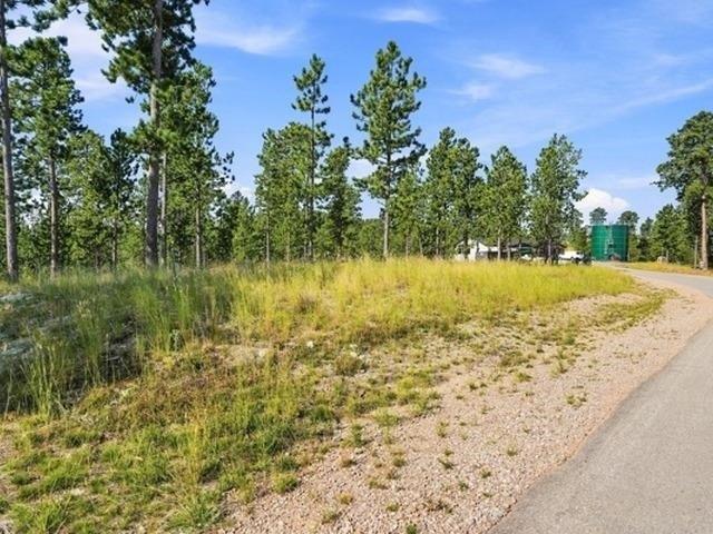 Tbd Overlook, Lead, SD 57754